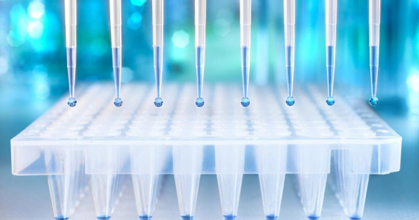 Arten von Proben für DNA-Tests